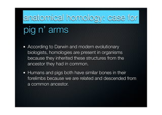Anatomical homology | PDF