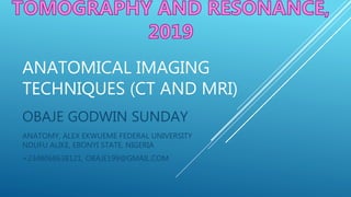 Anatomical imaging techniques: The Computed Tomography and Magnetic ...