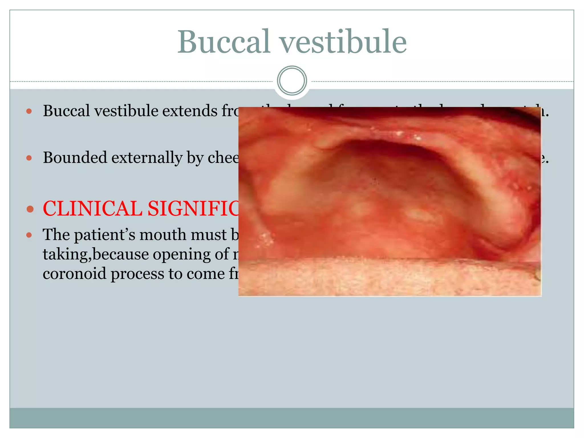 Anatomical landmark | PPTX