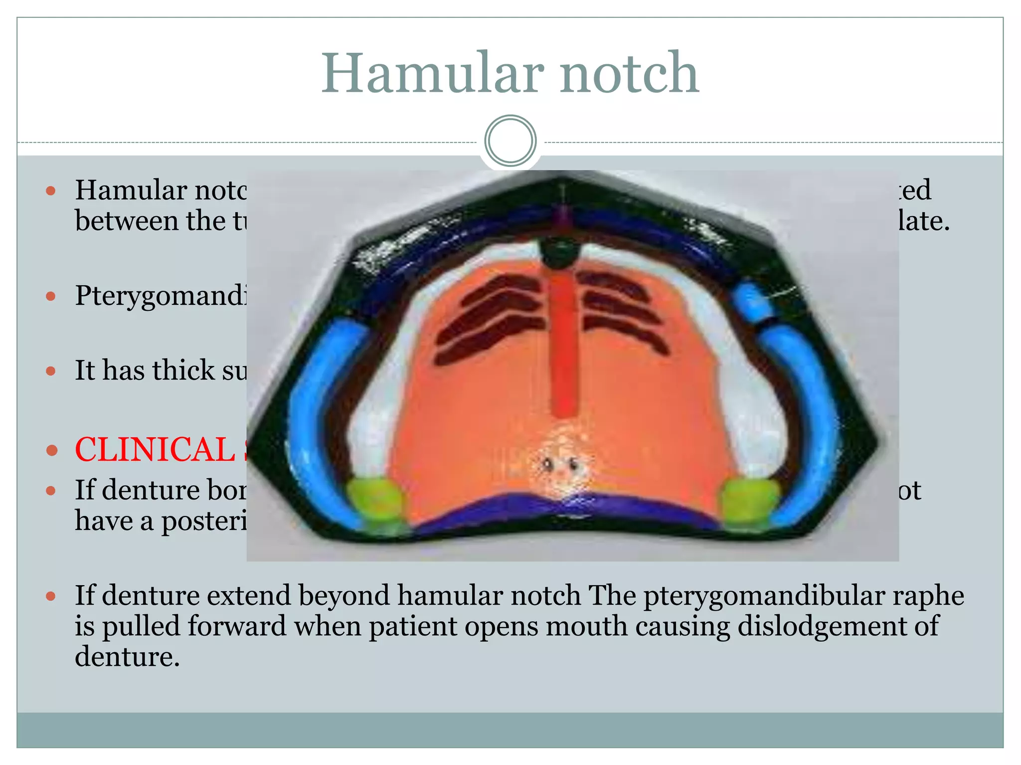 Anatomical landmark | PPTX