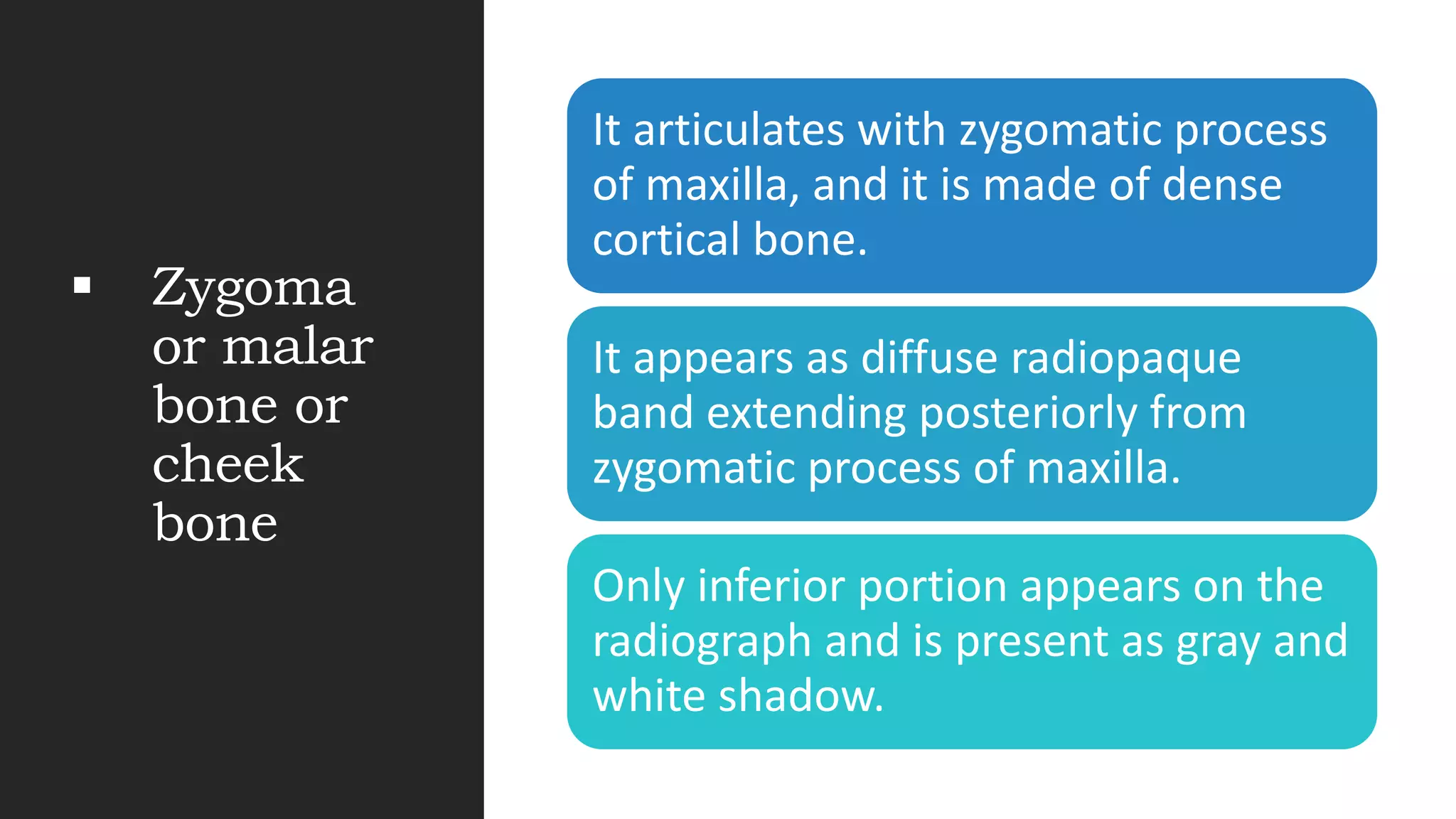 Anatomical landmark in oral radiology | PPTX