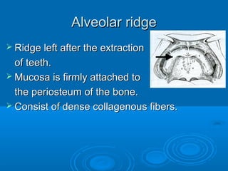 Anatomical landmarks | PPT