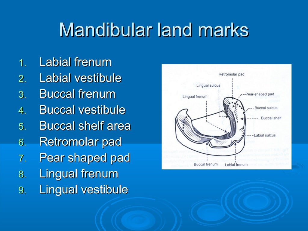 Anatomical Landmarks