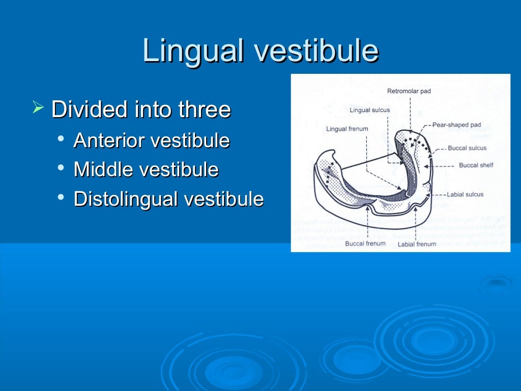 Anatomical landmarks