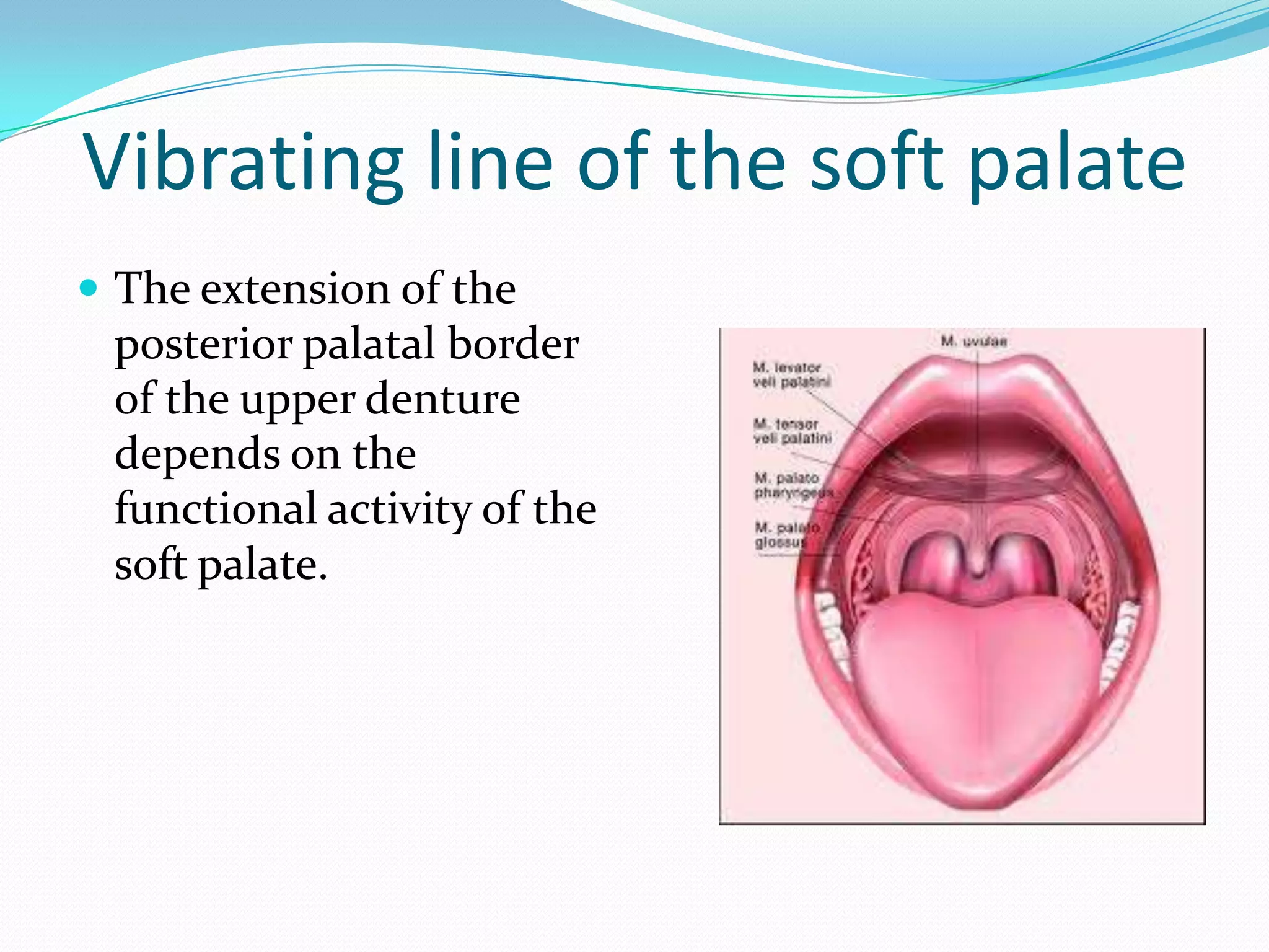 Anatomical Landmarks for Complete Dentures | PPTX