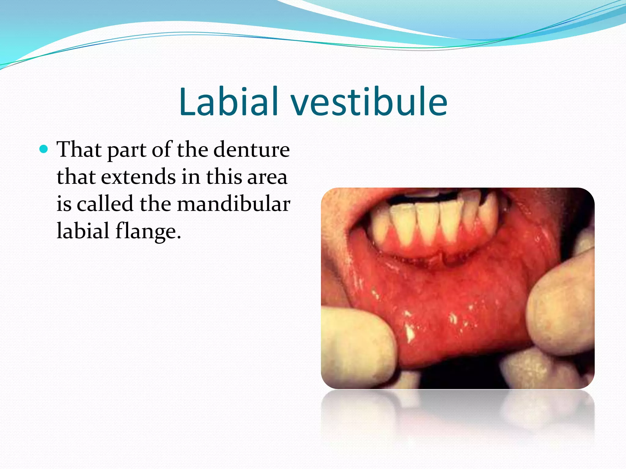 Anatomical Landmarks for Complete Dentures | PPTX