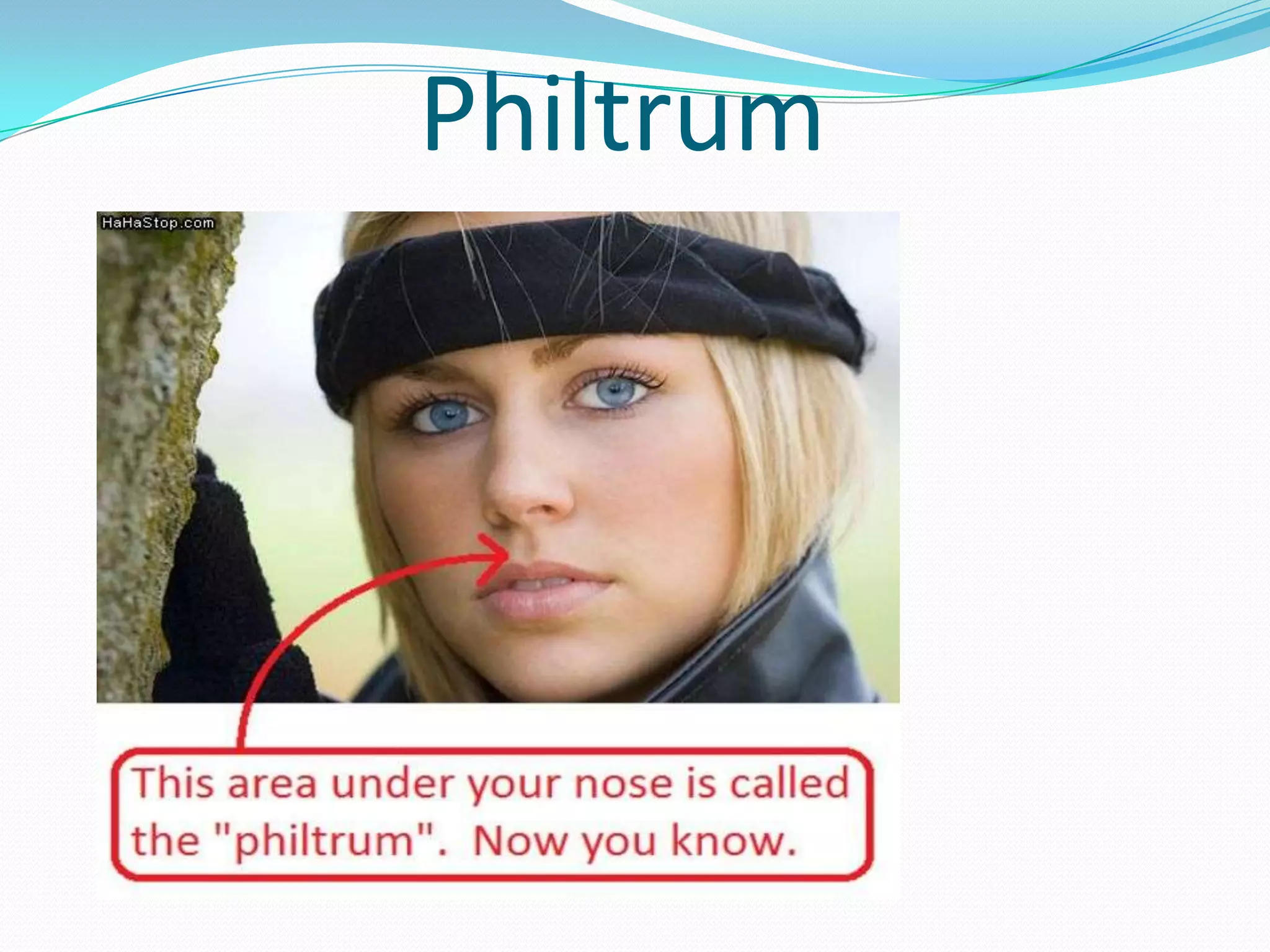 Anatomical Landmarks for Complete Dentures | PPTX | Dental Health ...