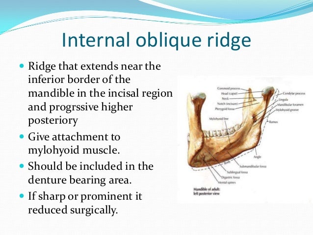 Anatomical Landmarks for Complete Dentures