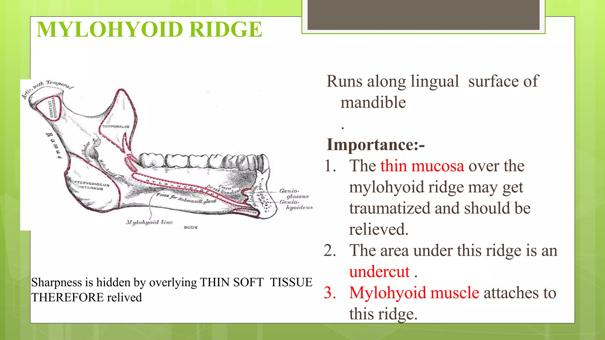 Anatomical landmarks | PPTX