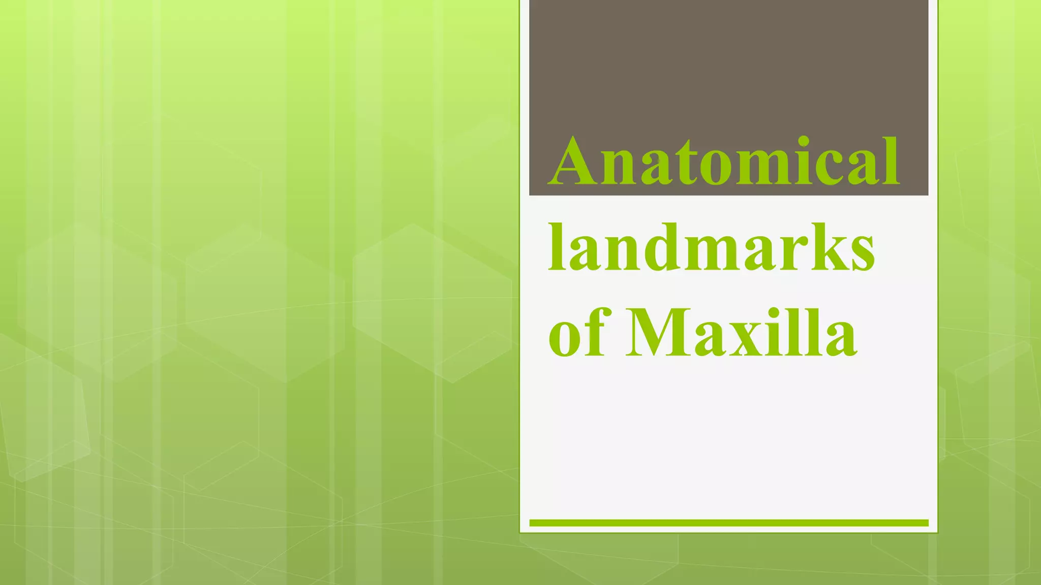 Anatomical landmarks | PPTX
