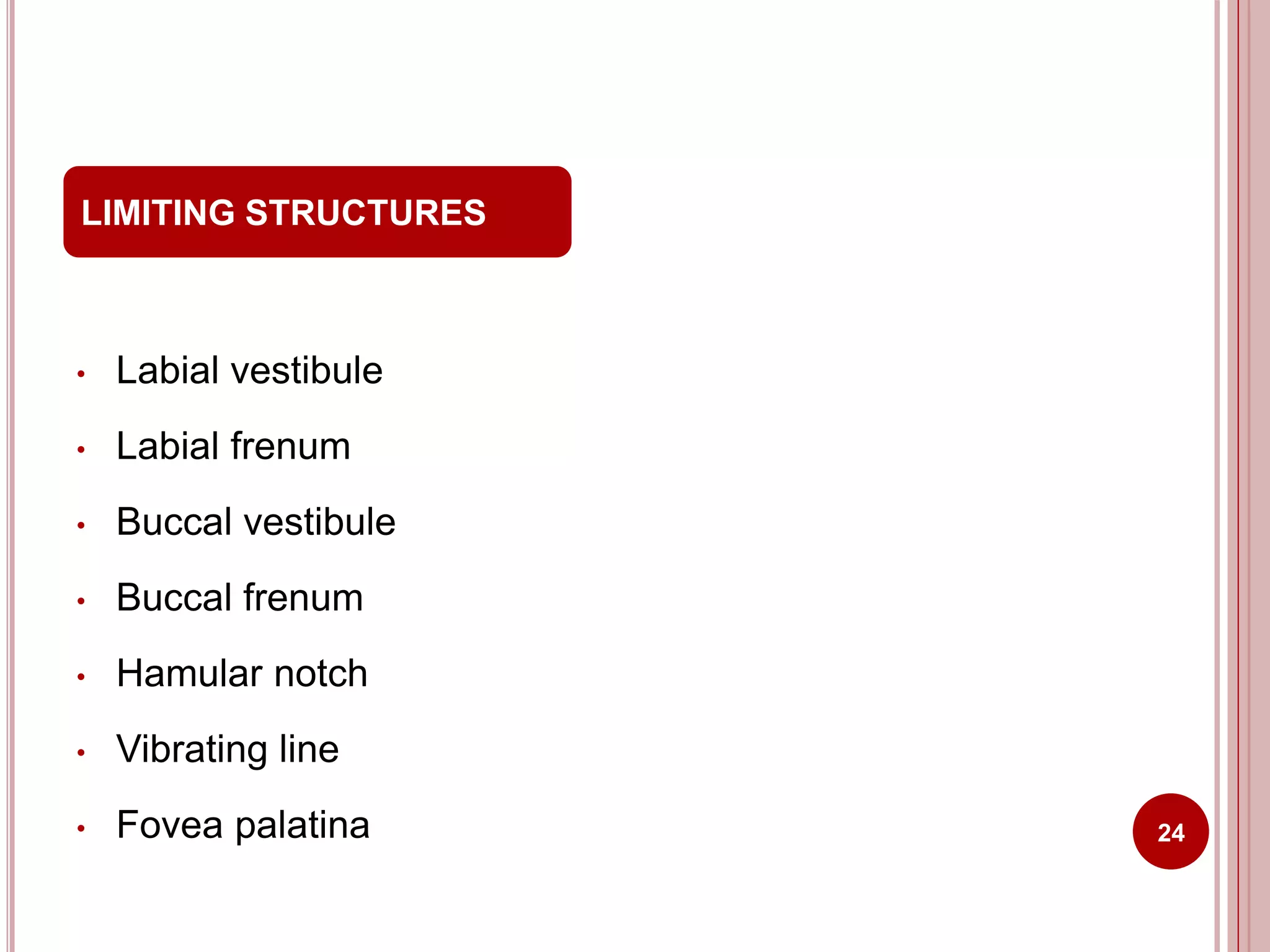 Anatomical landmarks of maxilla and mandible | PPTX