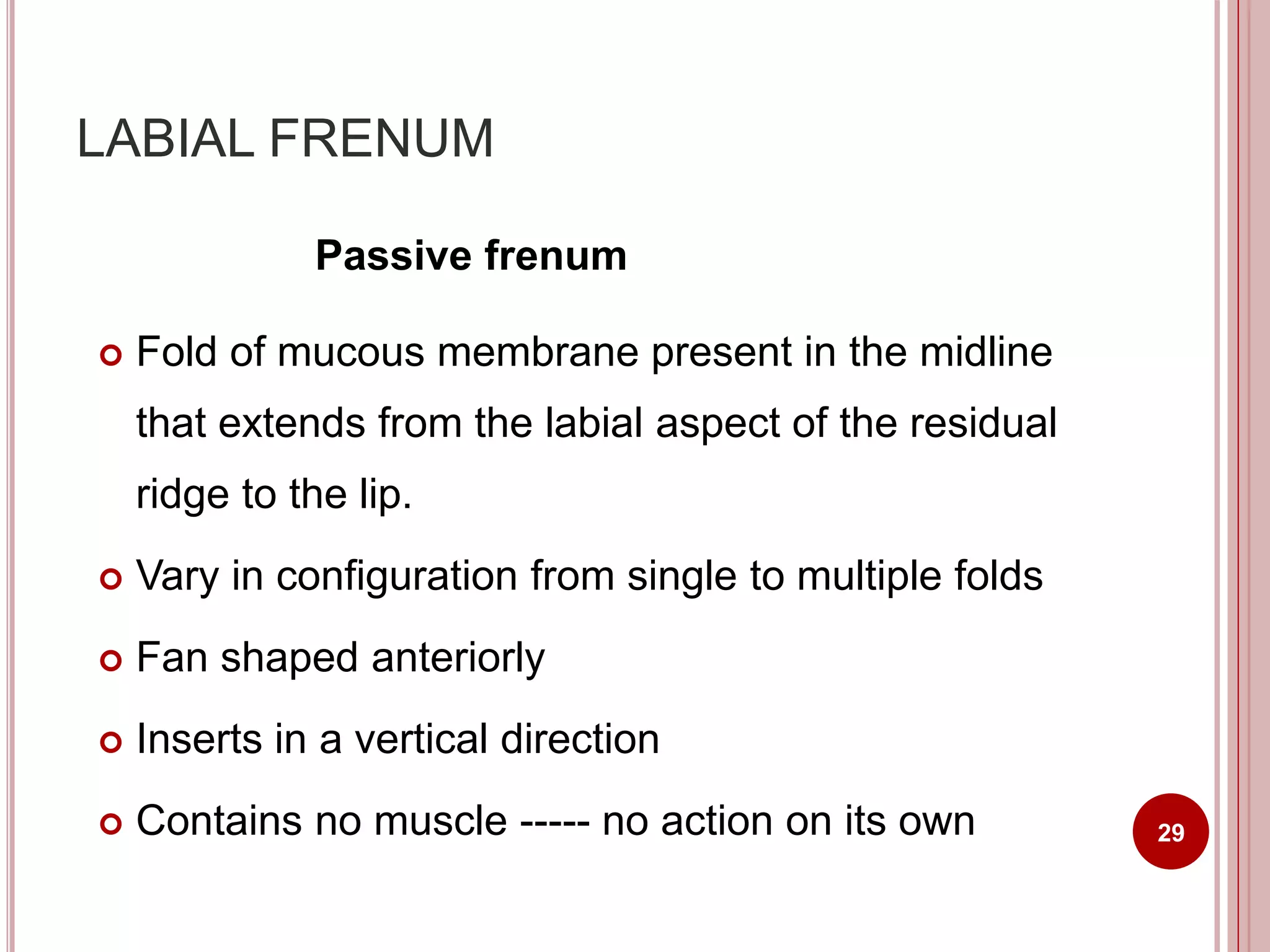 Anatomical landmarks of maxilla and mandible | PPTX