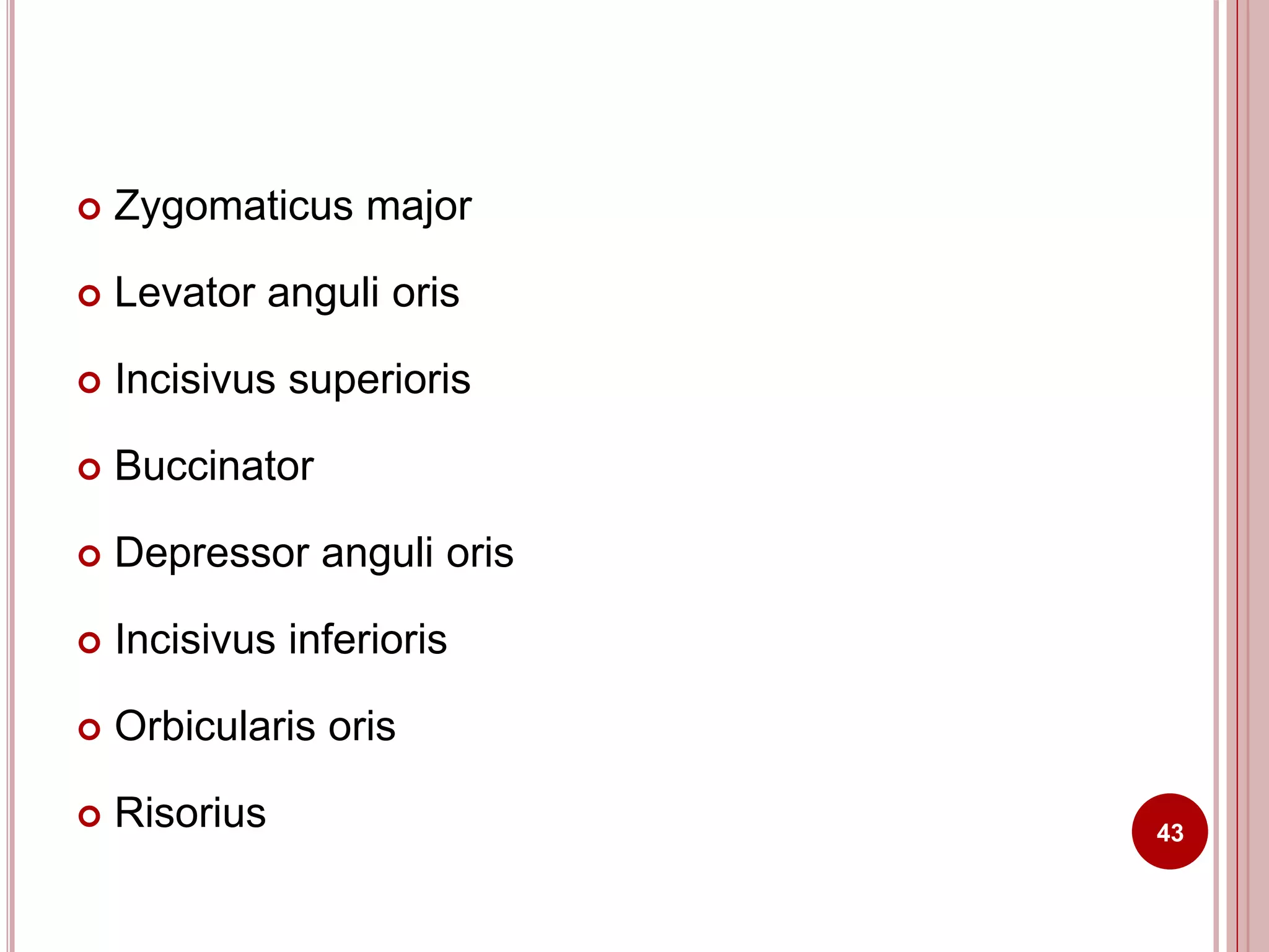 Anatomical landmarks of maxilla and mandible | PPTX