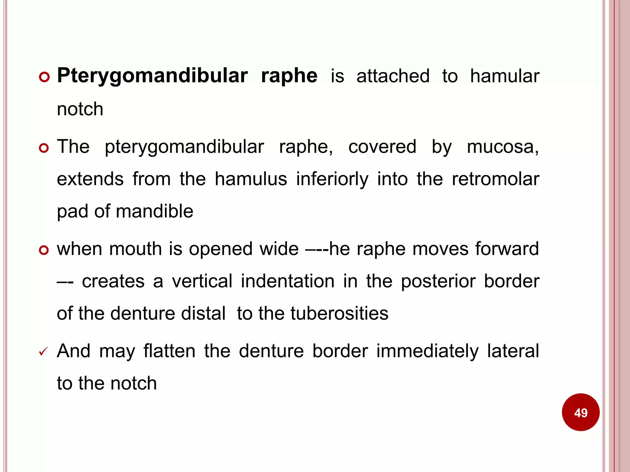 Anatomical landmarks of maxilla and mandible | PPTX