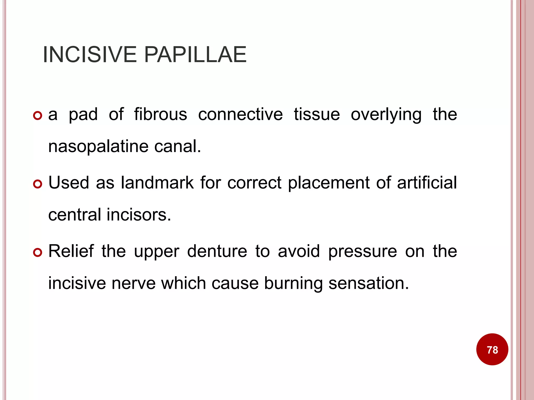 Anatomical landmarks of maxilla and mandible | PPTX