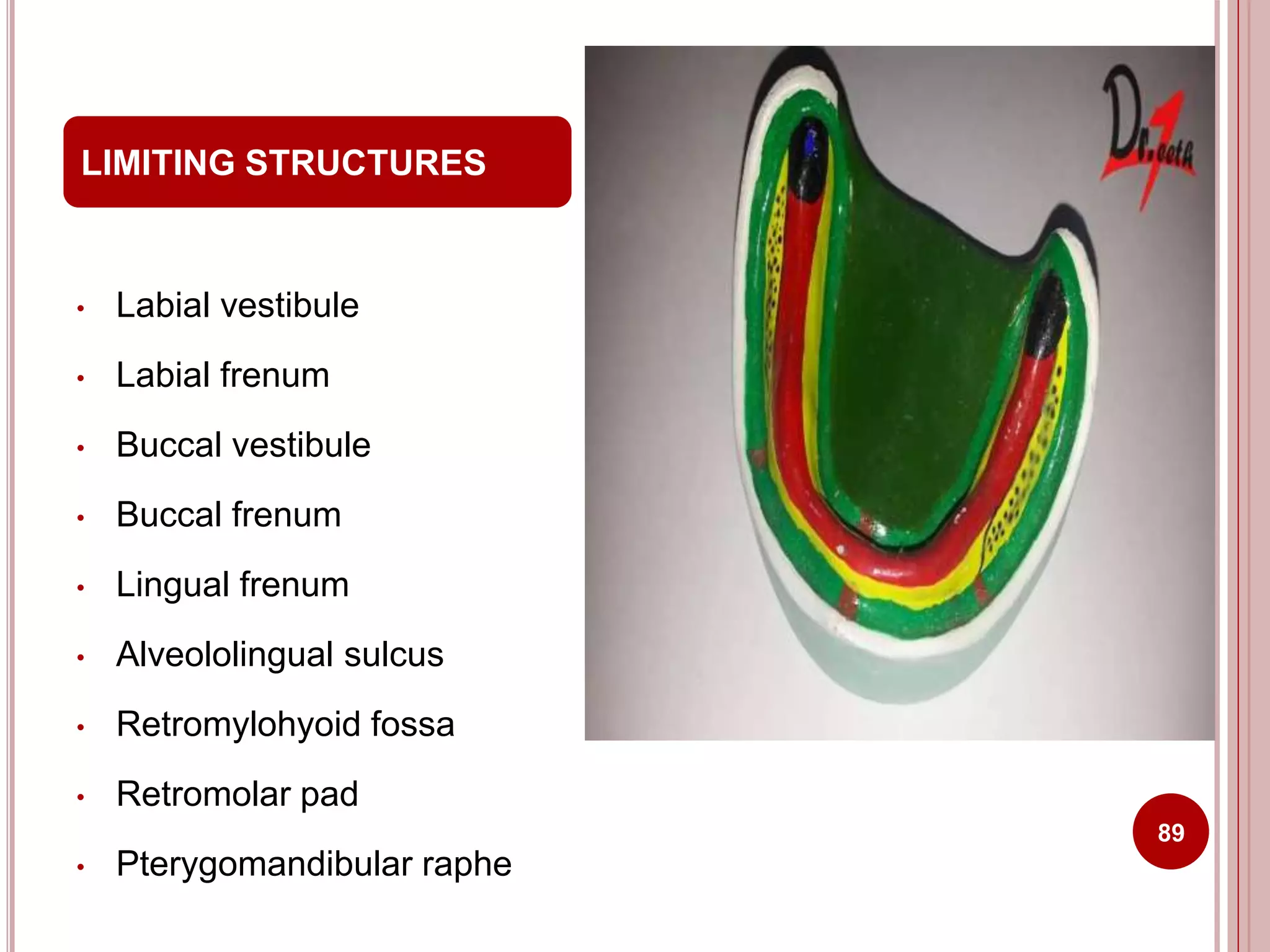 Anatomical landmarks of maxilla and mandible | PPTX