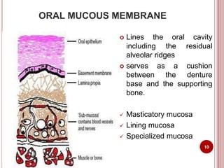 Anatomical landmarks of maxilla and mandible | PPTX