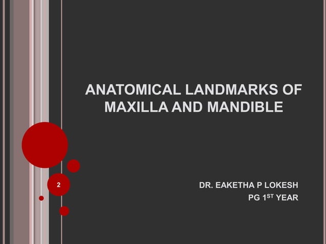 Anatomical landmarks of maxilla and mandible | PPTX