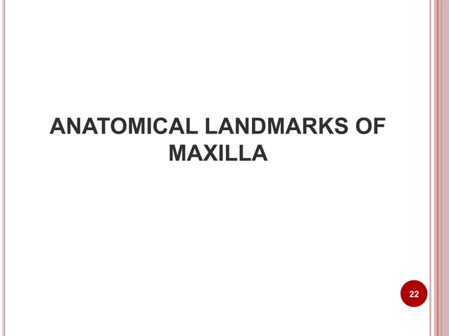 Anatomical landmarks of maxilla and mandible | PPTX