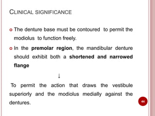Anatomical landmarks of maxilla and mandible | PPTX
