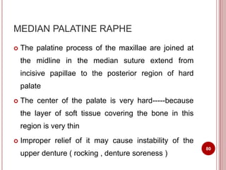 Anatomical landmarks of maxilla and mandible | PPTX