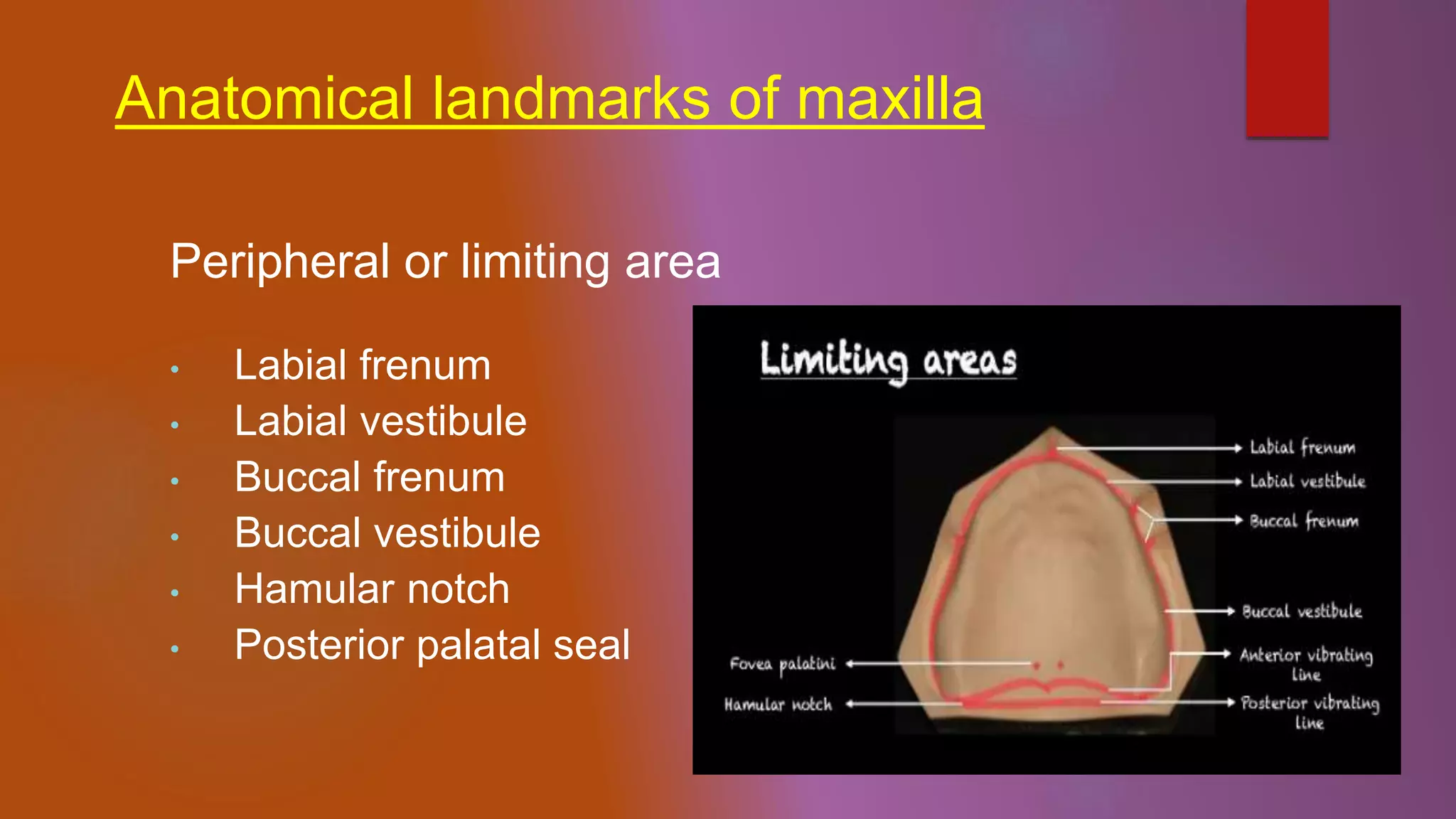 Anatomical landmarks | PPTX