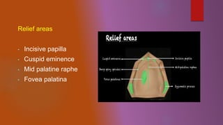 Anatomical landmarks | PPTX