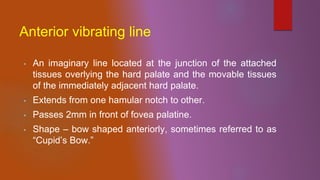 Anatomical landmarks | PPTX