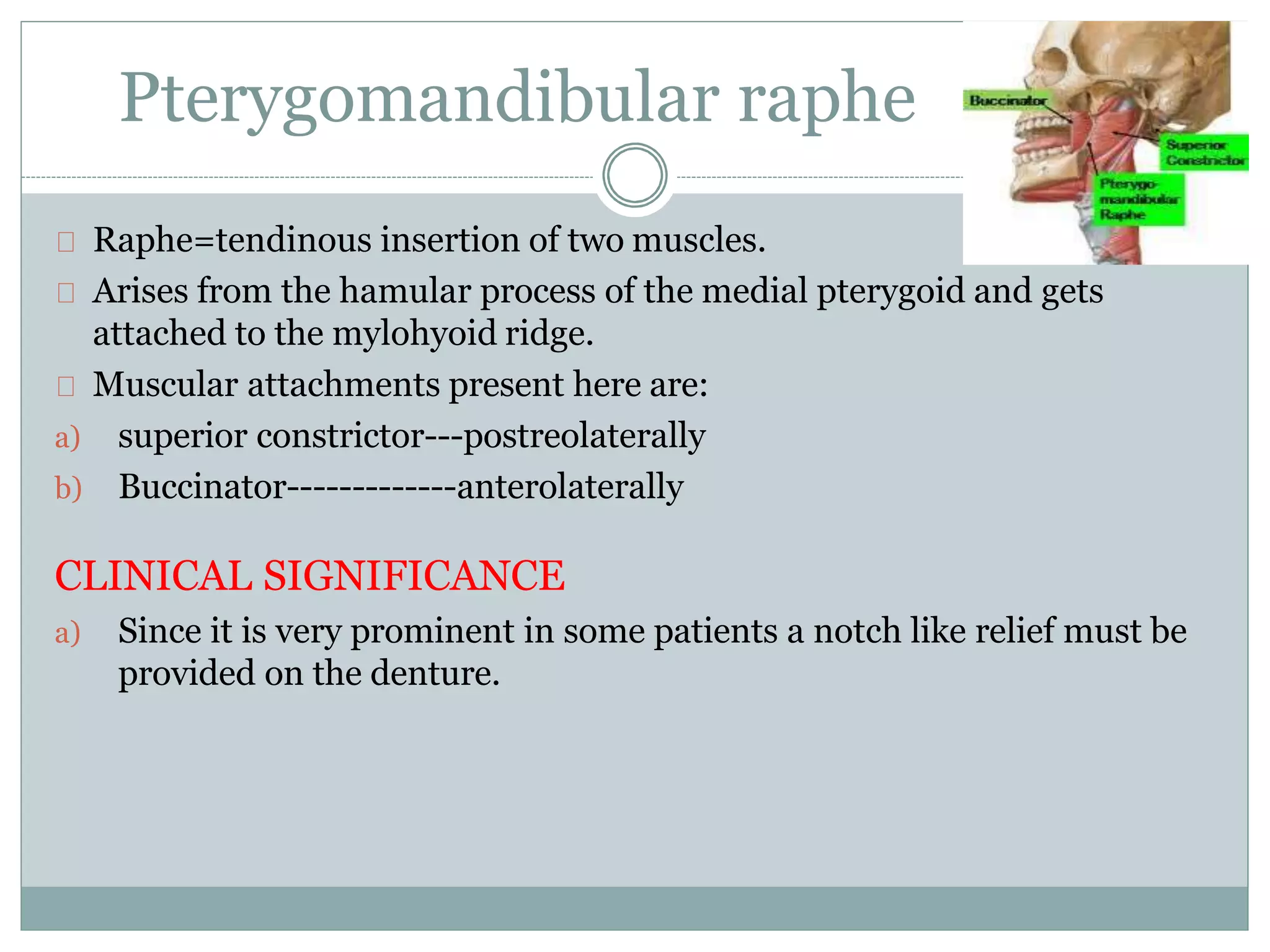 ANATOMICAL LANDMARKS (Dr.ABHIRAMI) | PPTX