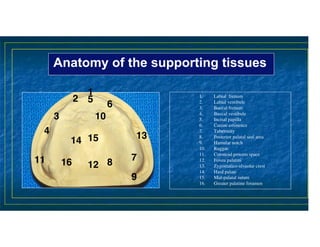 Edentulous Ridges_Anatomical Landmark | PDF