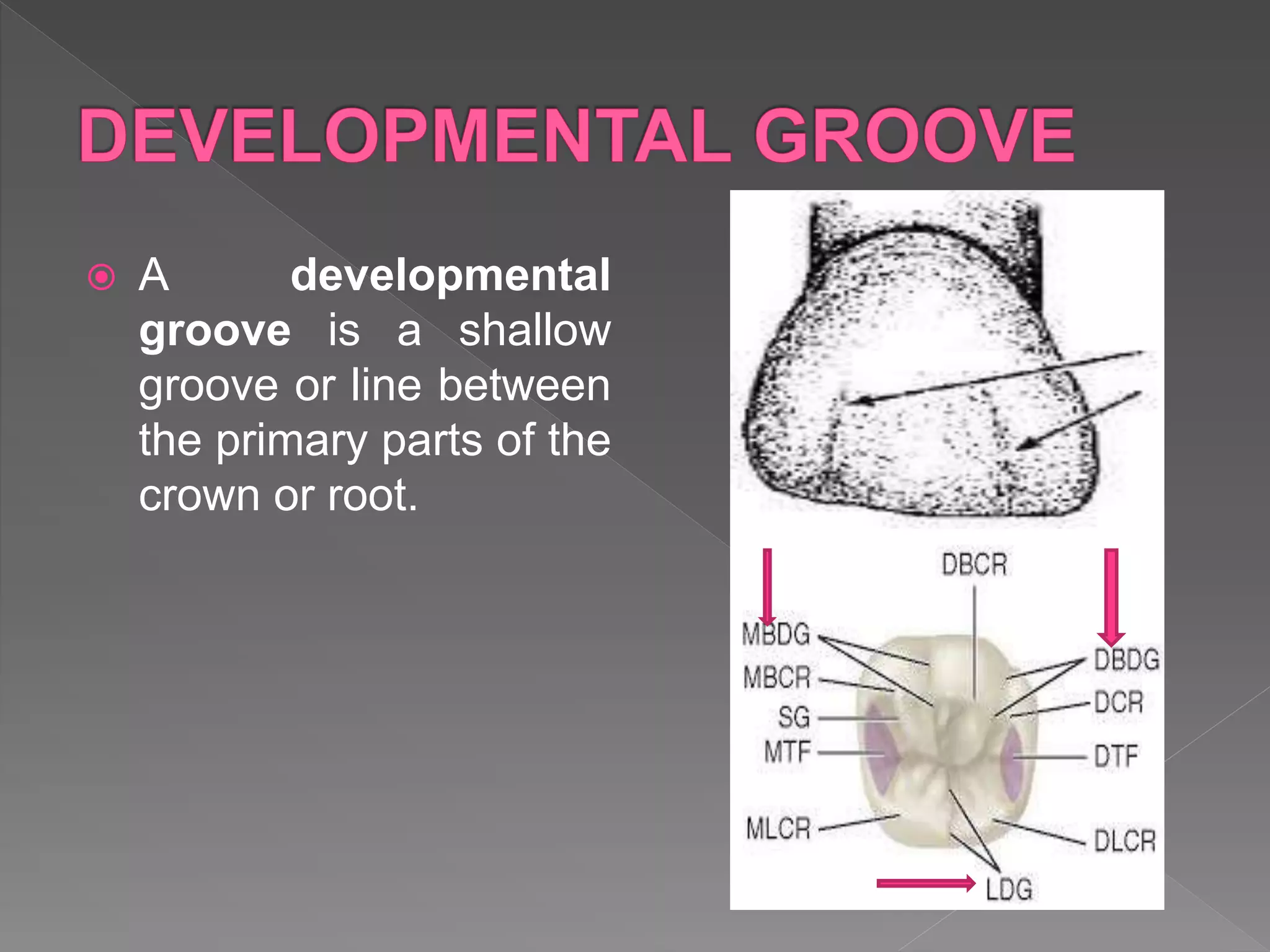 ANATOMICAL LANDMARKS.pptx