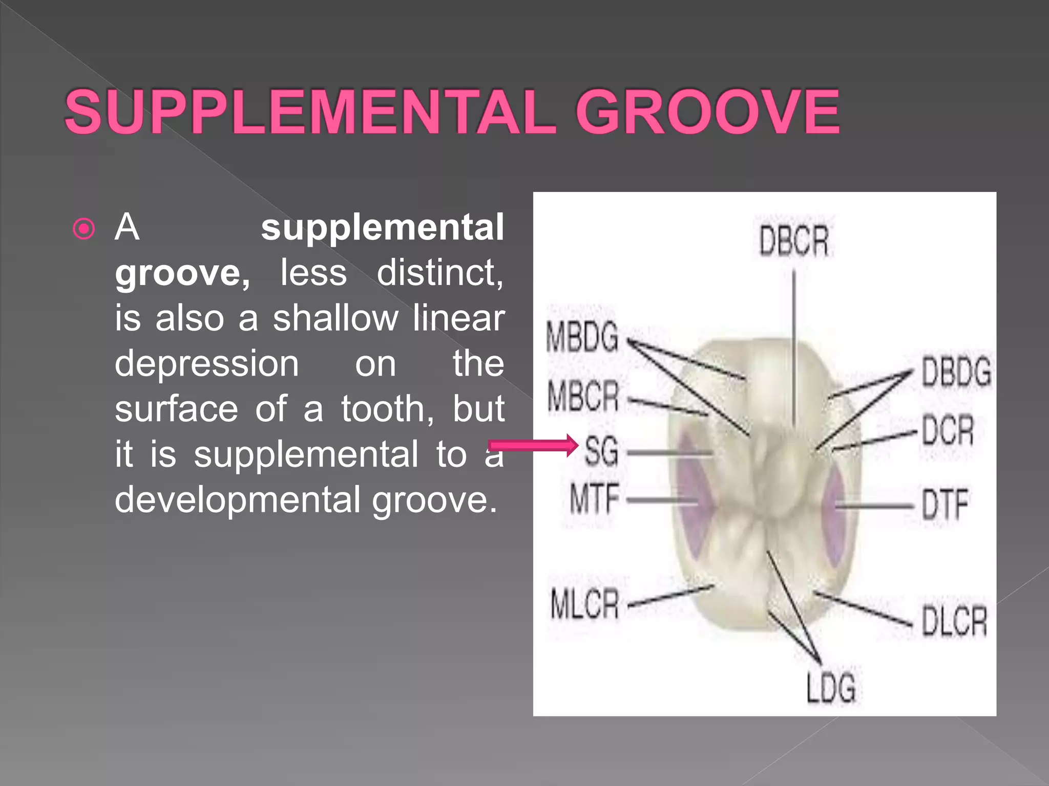 ANATOMICAL LANDMARKS.pptx