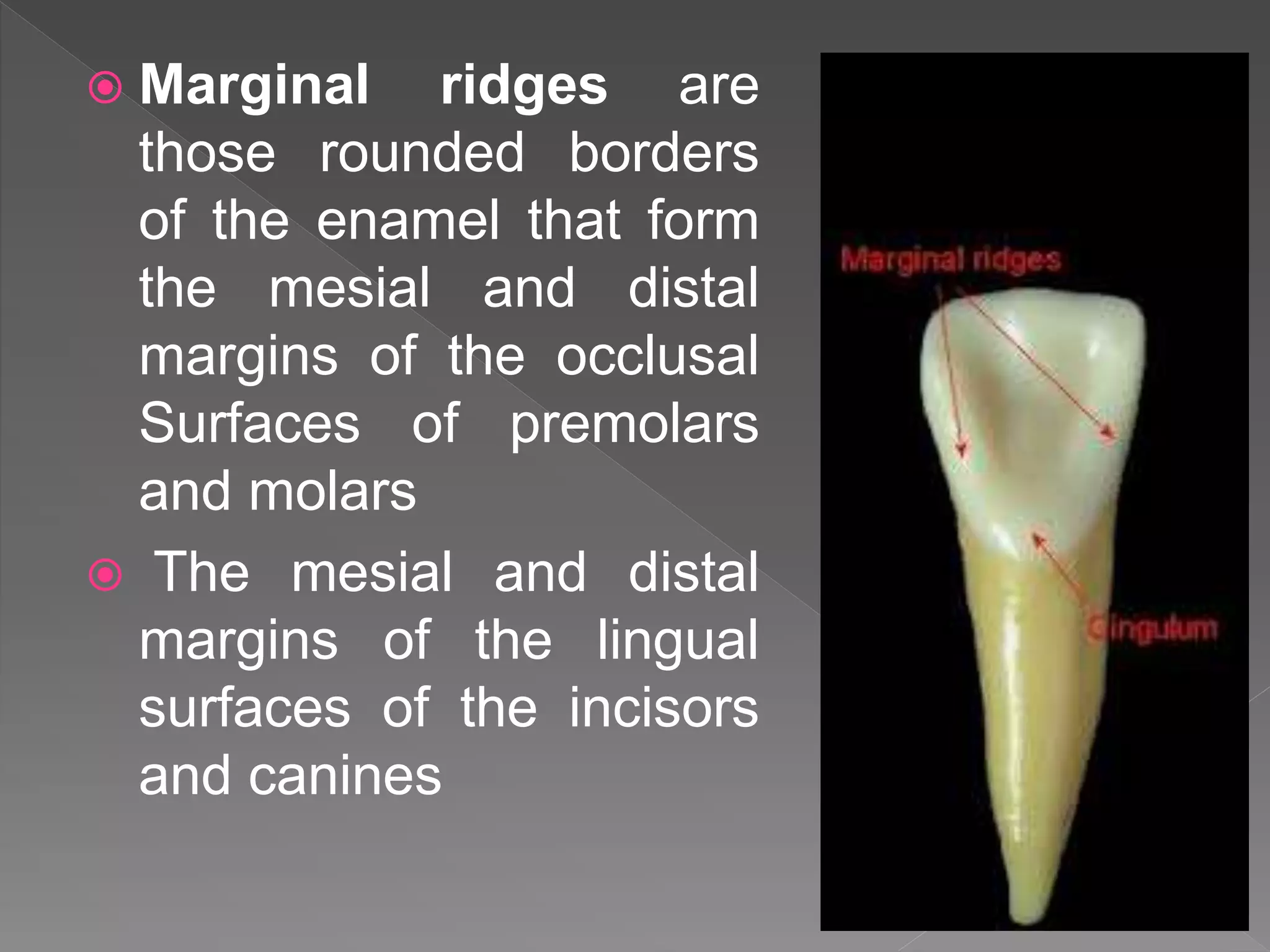 ANATOMICAL LANDMARKS.pptx