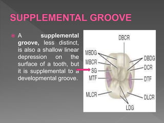 ANATOMICAL LANDMARKS.pptx