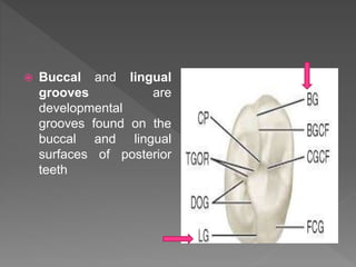 ANATOMICAL LANDMARKS.pptx