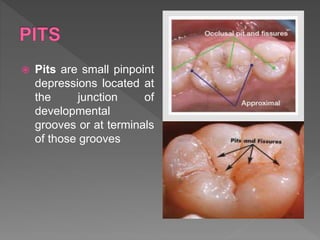 ANATOMICAL LANDMARKS.pptx