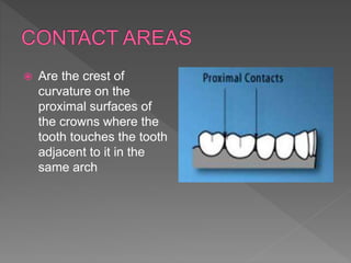 ANATOMICAL LANDMARKS.pptx