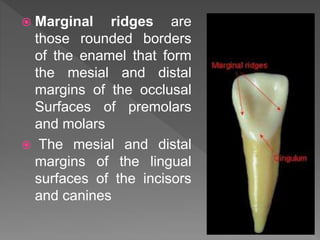 ANATOMICAL LANDMARKS.pptx