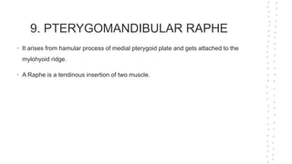 anatomical Landmarks in the mandible.pptx