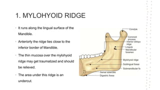 anatomical Landmarks in the mandible.pptx