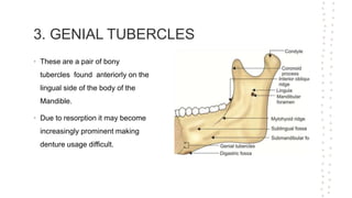anatomical Landmarks in the mandible.pptx