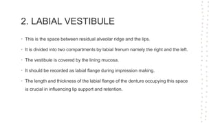 anatomical Landmarks in the mandible.pptx