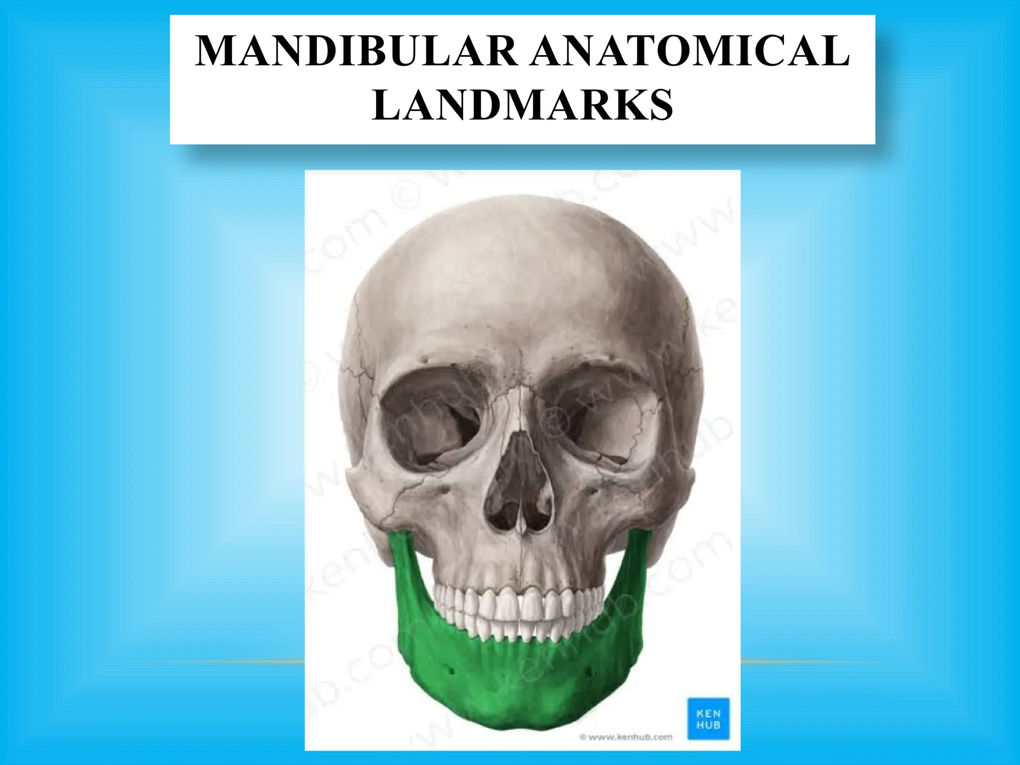 ANATOMICAL LANDMARKS anatomy and physiology.pptx
