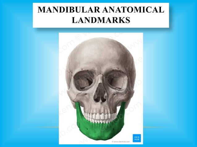 ANATOMICAL LANDMARKS anatomy and physiology.pptx