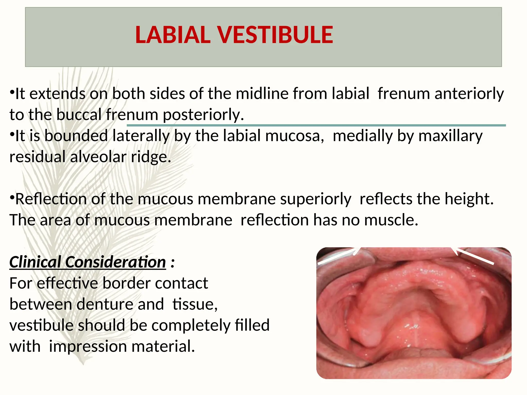 ANATOMICAL LANDMARKS OF ANATOMICAL STRUCTURES.ppt