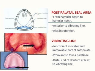 ANATOMICAL LANDMARKS OF ANATOMICAL STRUCTURES.ppt