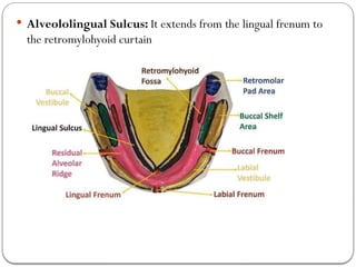 Anatomical landmarks for complete denture .pptx