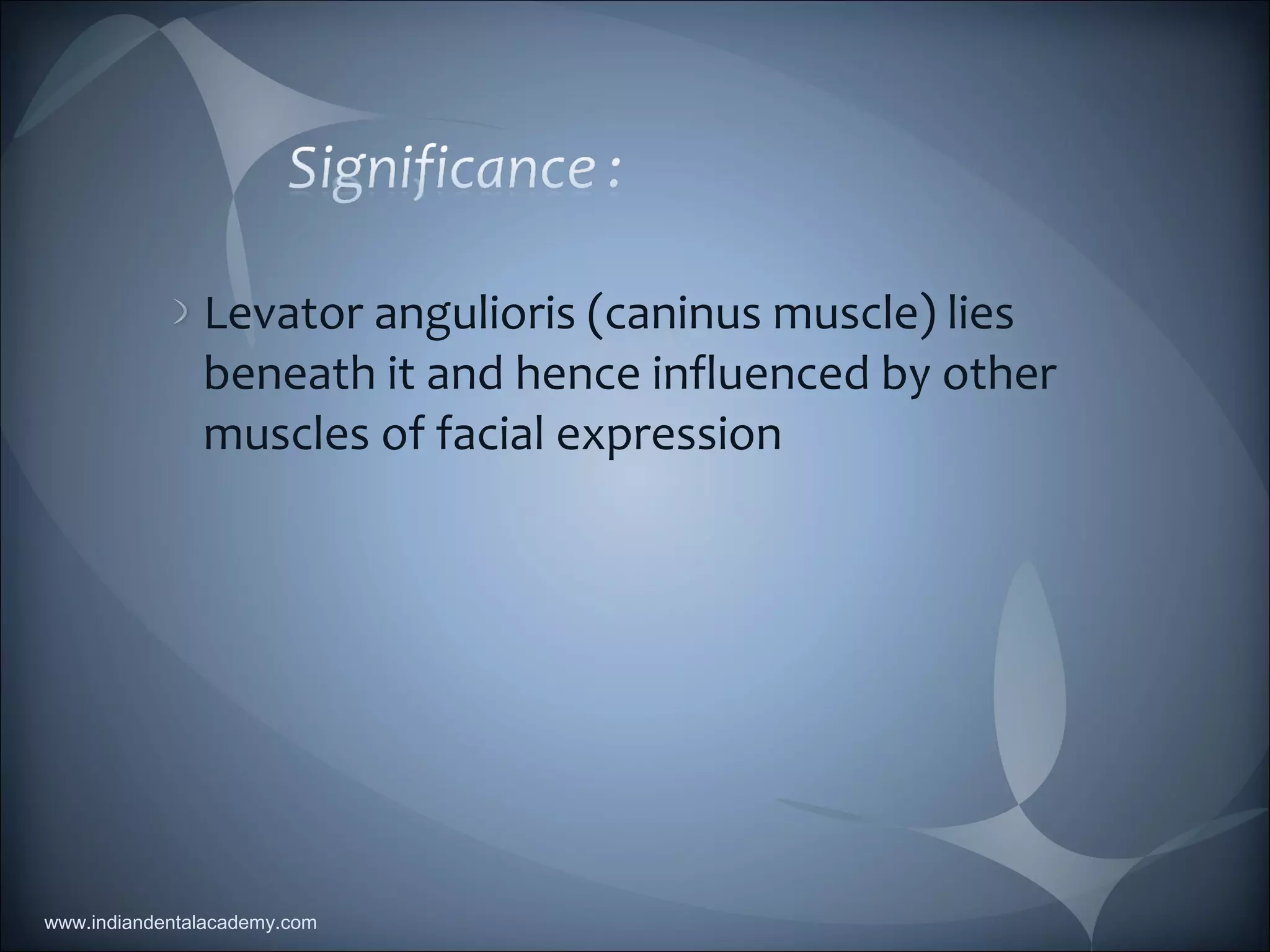Anatomical landmarks (2)/prosthodontic courses | PPT