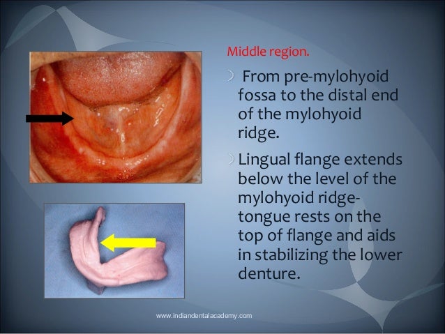 Anatomical landmarks (2)/prosthodontic courses