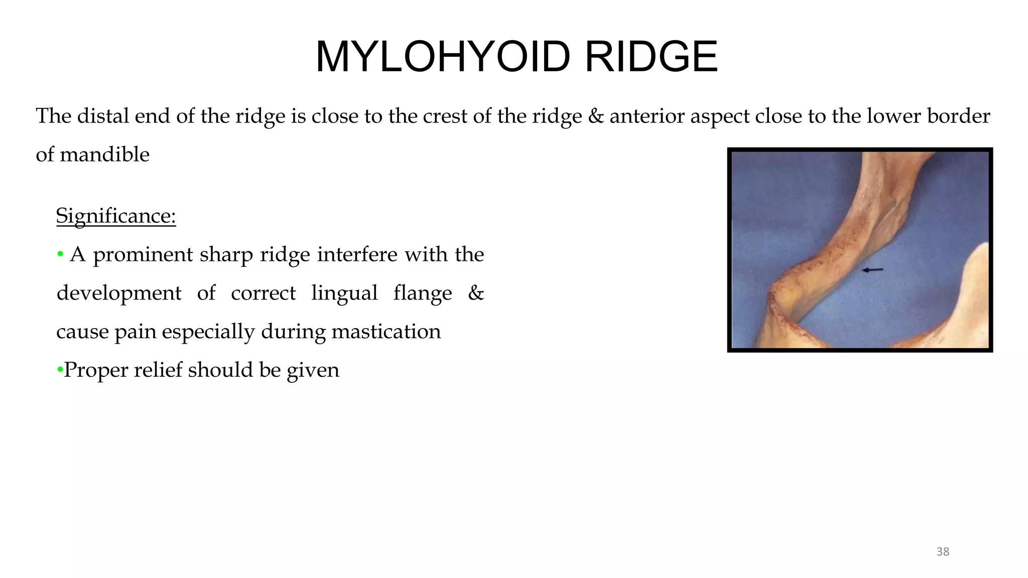ANATOMICAL LANDMARKS AND PRIMARY IMPRESSION.pptx